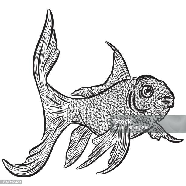 Illustration Graphique Dun Dessin De Poisson Dor En Vecteur Vecteurs