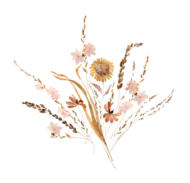 12 800 Herbarium Ilustrasi Grafik Vektor And Clip Art Bebas Royalti