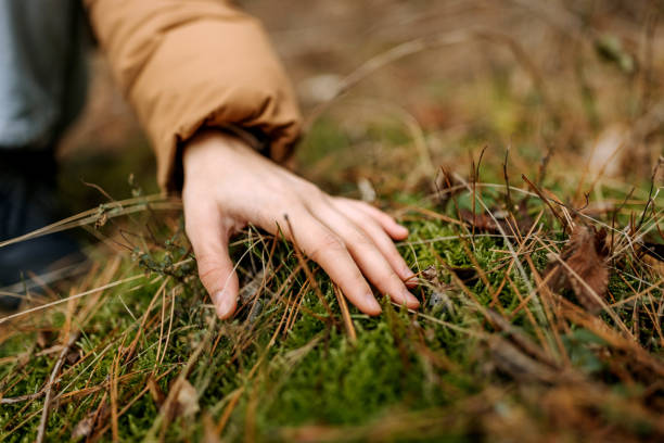 Free Stock Photo of Persons Hand Reaching for Object on the Ground ...