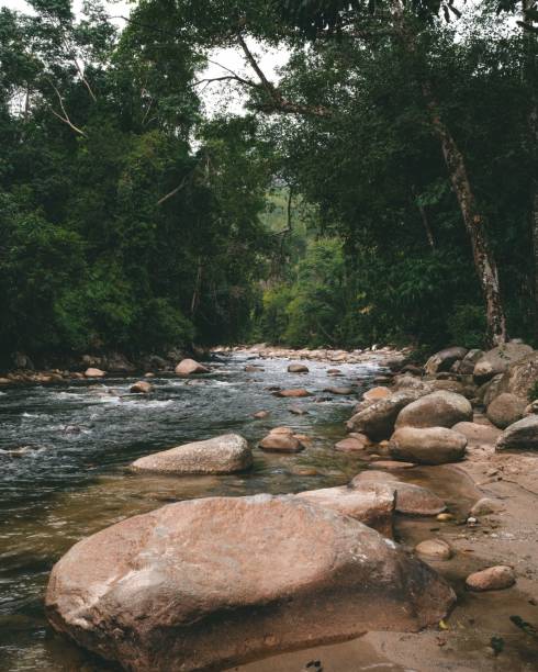 Upstream Pictures [HD] | Download Free Images on Unsplash