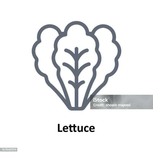 Salat Vektor Umriss Symbole Einfacher Lagerbestand Stock Vektor Art Und
