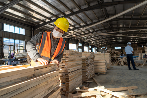 A Female Worker Is Checking The Specifications Of Processed Wood Stock