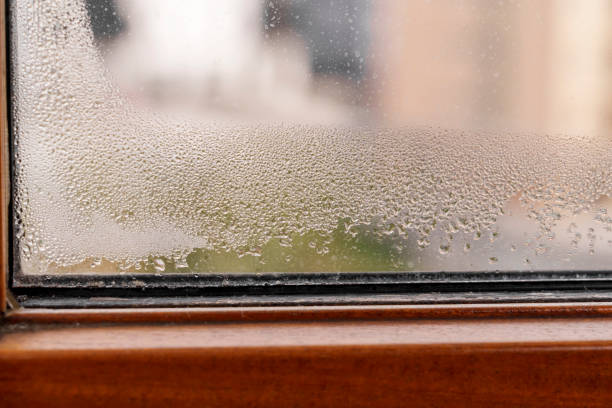 Free Stock Photo of Drops of water on glass window | Download Free ...