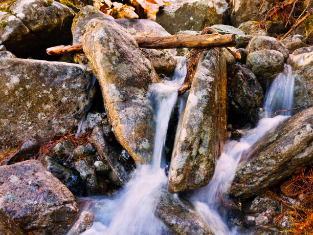 Garganta Pictures | Download Free Images on Unsplash