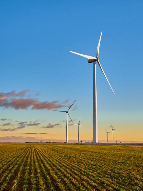 Free Stock Photo of Windmills in a field during sunset | Download Free ...