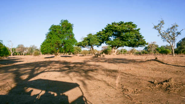 Free picture: image, Zimbabwe, countryside