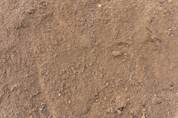 Free picture: beach, sand, texture, desert, soil, earth, surface, material