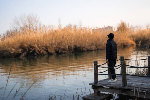 Free Stock Photo of Man Standing on Bridge Overlooking Water | Download ...