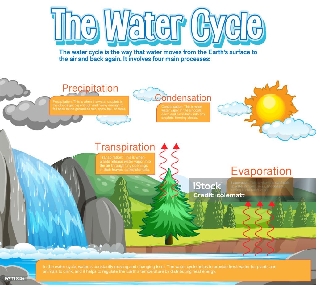 Diagram Siklus Air Untuk Pendidikan Sains Ilustrasi Stok Unduh Gambar