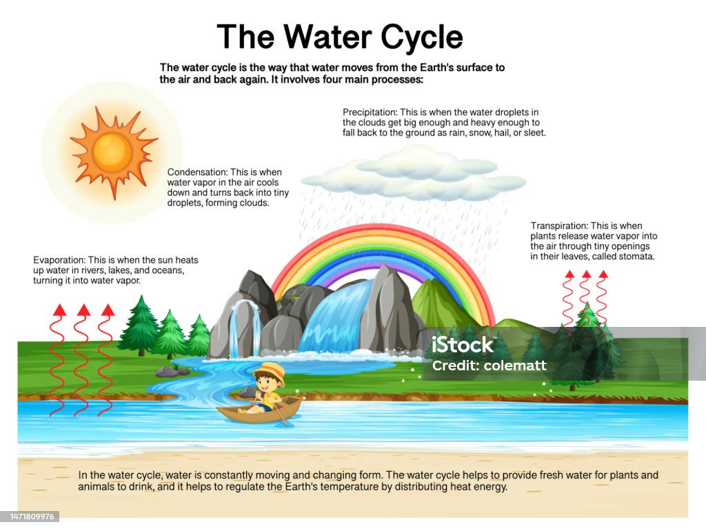 Diagram Siklus Air Untuk Pendidikan Sains Ilustrasi Stok Unduh Gambar