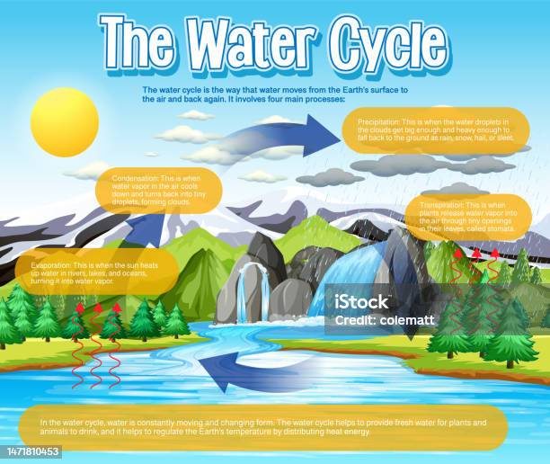 Diagram Siklus Air Untuk Pendidikan Sains Ilustrasi Stok Unduh Gambar