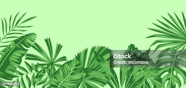 Latar Belakang Dengan Daun Palem Bergaya Gambar Dedaunan Dan Tanaman