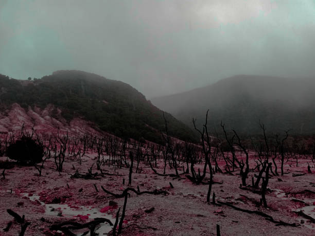 230+ Papandayan Fotografías de stock, fotos e imágenes libres de ... 230+ Papandayan Fotografías de stock, fotos e imágenes libres de ...