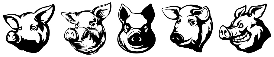 Mascotte De Tête De Cochon Logo Porcin Ensemble Dillustrations De Porc