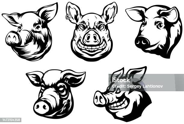 Mascotte De Tête De Cochon Logo Porcin Ensemble Dillustrations De Porc