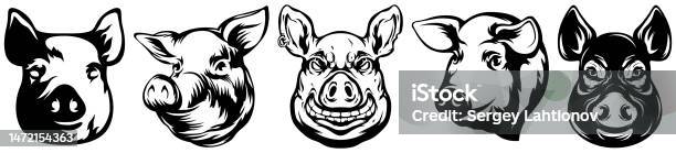 Mascotte De Tête De Cochon Logo Porcin Ensemble Dillustrations De Porc