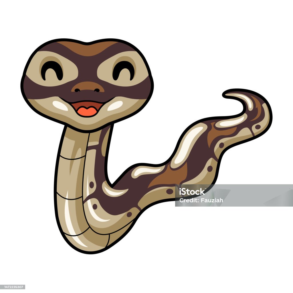 Cute Black Head Butter Ball Python Cartoon Stock Illustration Download Image Now Albino