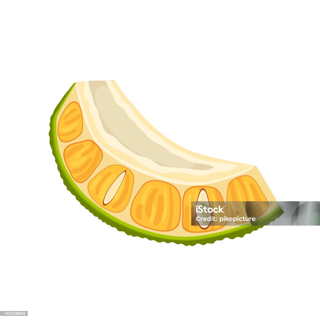 Ilustrasi Vektor Kartun Potongan Nangka Ilustrasi Stok Unduh Gambar Sekarang Alam Bahan