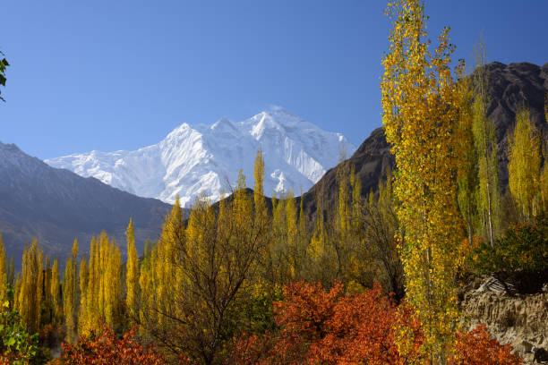970+ Rakaposhi Mountain Photos Stock Photos, Pictures & Royalty-Free ... 970+ Rakaposhi Mountain Photos Stock Photos, Pictures & Royalty-Free ...