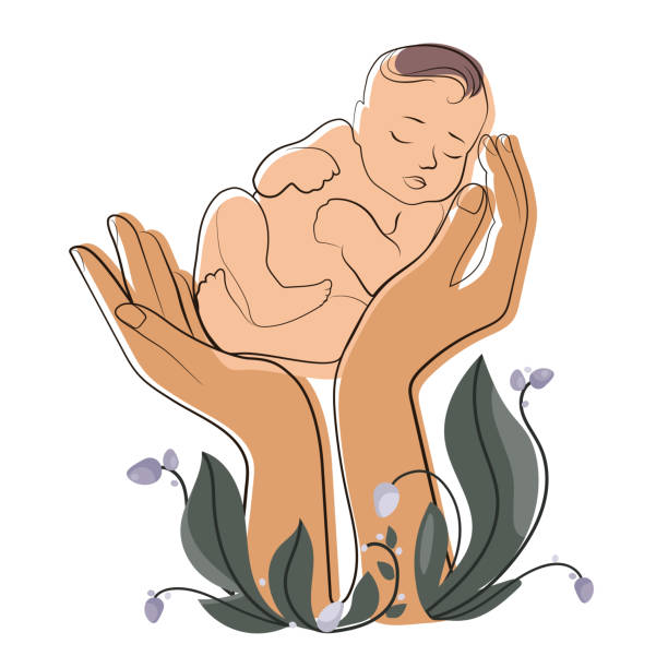 1 800 Midwife Illustrations Stock Illustrations Royalty Free Vector