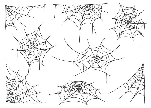 310+ Halloween Corner Spider Web Cobweb Symbol Icon Set Illustrations ... 310+ Halloween Corner Spider Web Cobweb Symbol Icon Set Illustrations ...