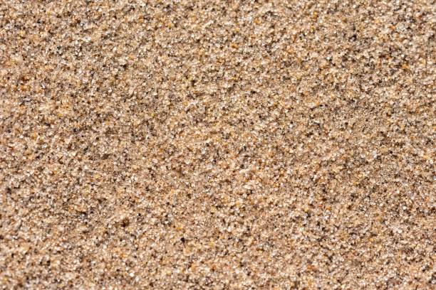 Free picture: sand, beach, desert, grain, stone, texture