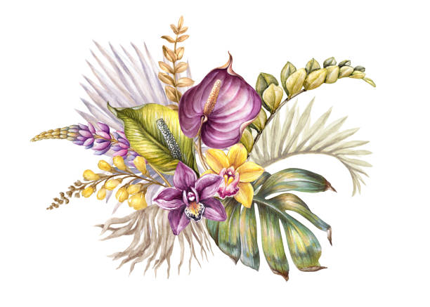 12 800 Herbarium Ilustrasi Grafik Vektor And Clip Art Bebas Royalti
