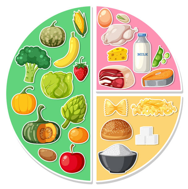 1,700+ Macronutrients Stock Photos, Pictures & Royalty-Free Images - iStock 1,700+ Macronutrients Stock Photos, Pictures & Royalty-Free Images - iStock