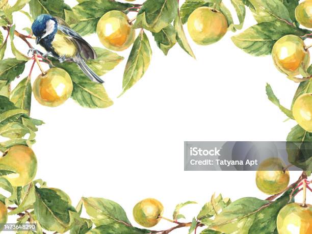 Cadre Rectangulaire De Branches De Pommiers Jaunes Et Doiseaux