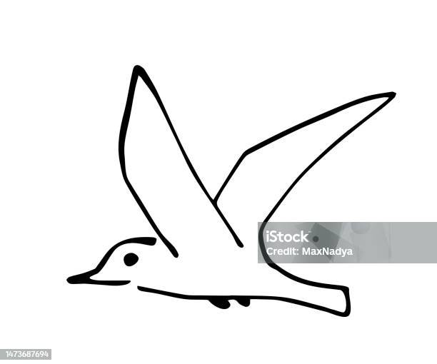 Dessin Vectoriel De Contour Noir Simple Oiseau Volant Mouette Croquis À