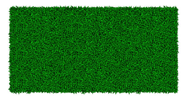33 700+ Synthetic Grass Stock Illustrations, graphiques vectoriels ... 33 700+ Synthetic Grass Stock Illustrations, graphiques vectoriels ...