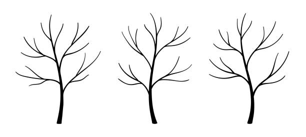 Simple Tree Branch Outline
