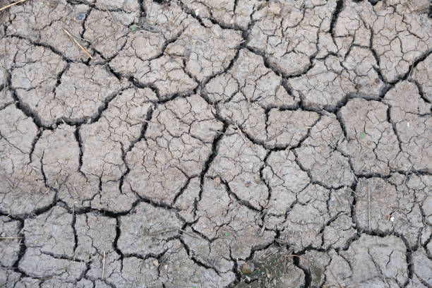 Free picture: Close-up of dry ground in drought season