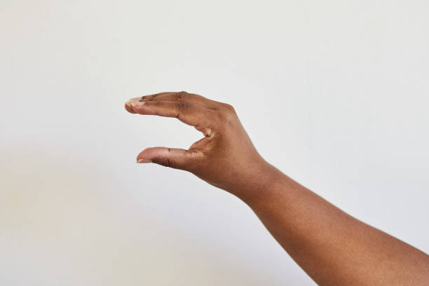 Free Stock Photo of Woman Holding Small Object in Hand | Download Free ...