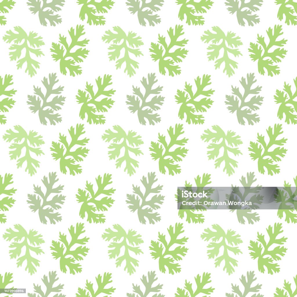 Motif De Feuilles De Coriandre Verte Sur Fond Blanc Vecteur Plat ... Motif De Feuilles De Coriandre Verte Sur Fond Blanc Vecteur Plat ...