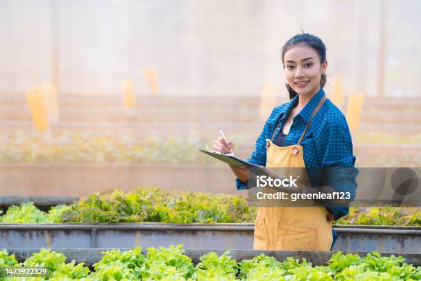 Keranjang Dengan Sayuran Segar Wanita Petani Asia Memegang Kotak Kayu ... Keranjang Dengan Sayuran Segar Wanita Petani Asia Memegang Kotak Kayu ...