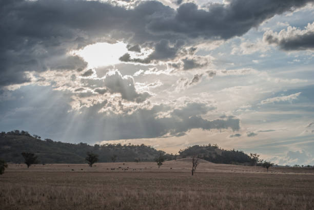 Free Stock Photo of Sunlight Streaming Through Clouds Over Grass Field ...