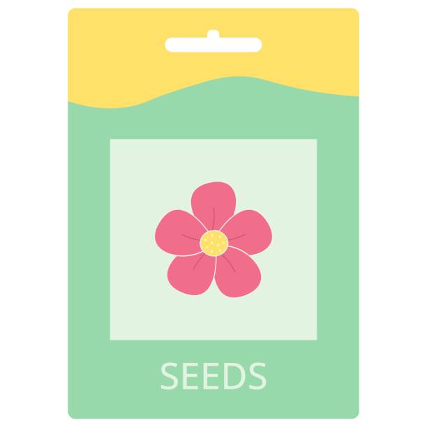 120 Planting Seed Paper Illustrations Royalty Free Vector Graphics And Clip Art Istock