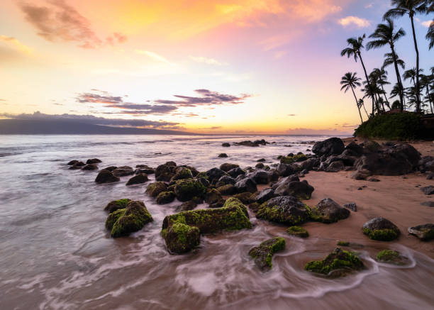 30+ Hawaiin Sunset Stock Photos, Pictures & Royalty-Free Images - iStock 30+ Hawaiin Sunset Stock Photos, Pictures & Royalty-Free Images - iStock