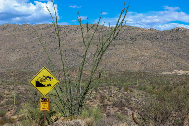 Free Stock Photo of Desert Road Sign | Download Free Images and Free ...