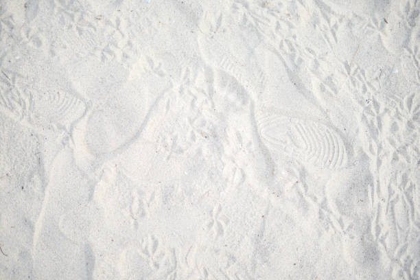Free picture: brown, footstep, light brown, outdoor, sand, pattern ...