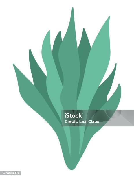Icône Dalgues Vertes Vectorielles Illustration Sous La Mer Avec Du
