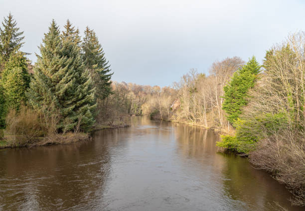 Free picture: scenic, shavers, fork, cheat, river