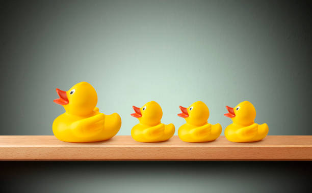 30,000+ Flying Duck Pictures | Download Free Images on Unsplash