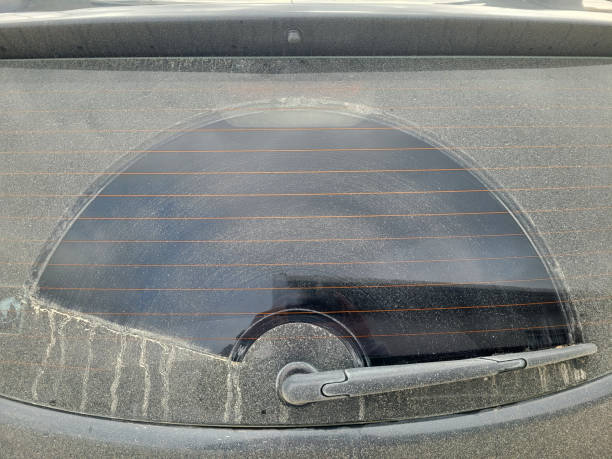 Free picture: A dirty windshield, a texture with black lines and stains ...