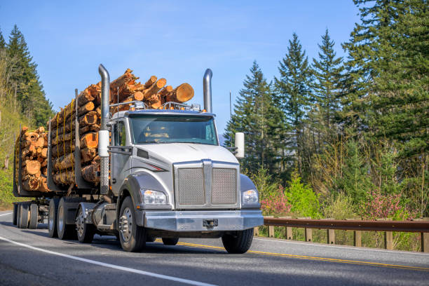 40 Big Rig Classic Semi Truck Flat Bed Trailers Carry Lumber Stock