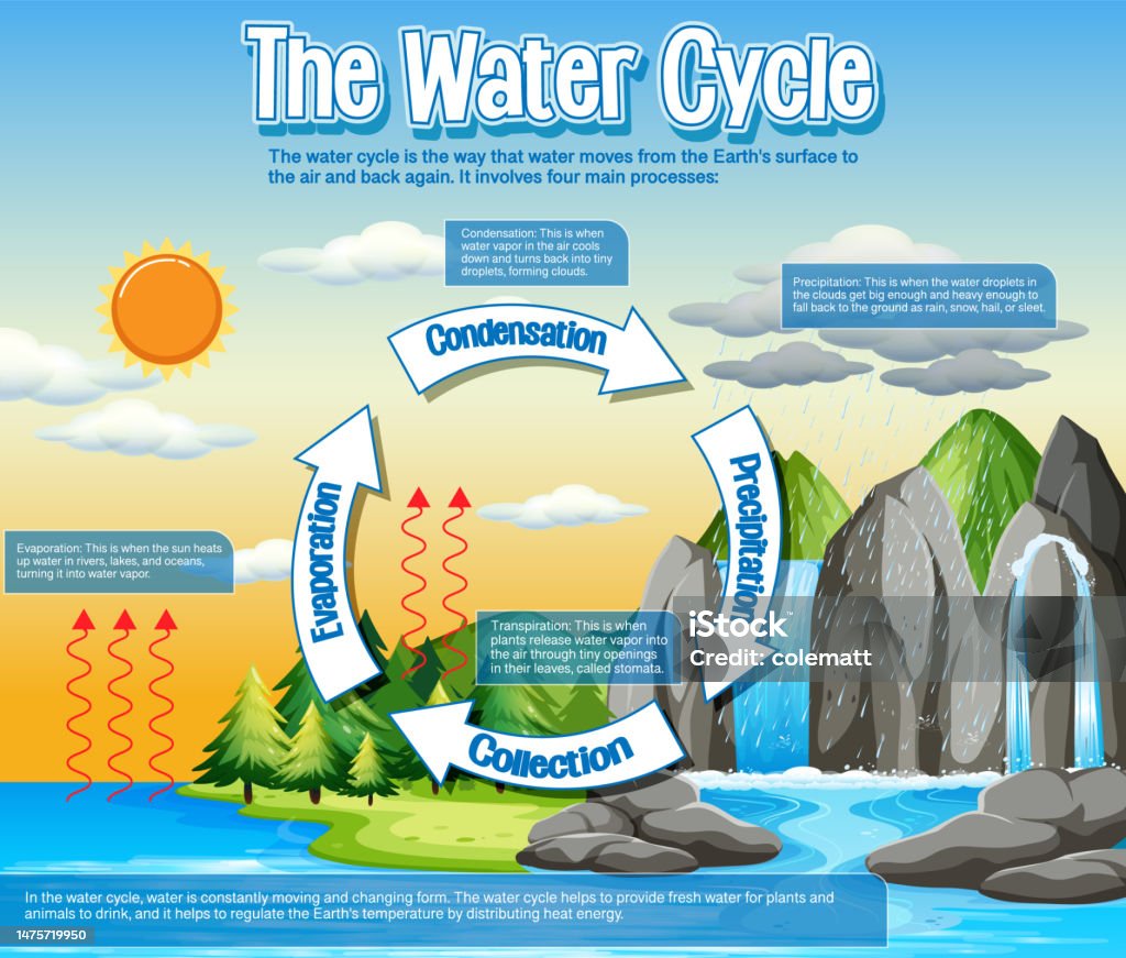 Diagram Siklus Air Untuk Pendidikan Sains Ilustrasi Stok Unduh Gambar