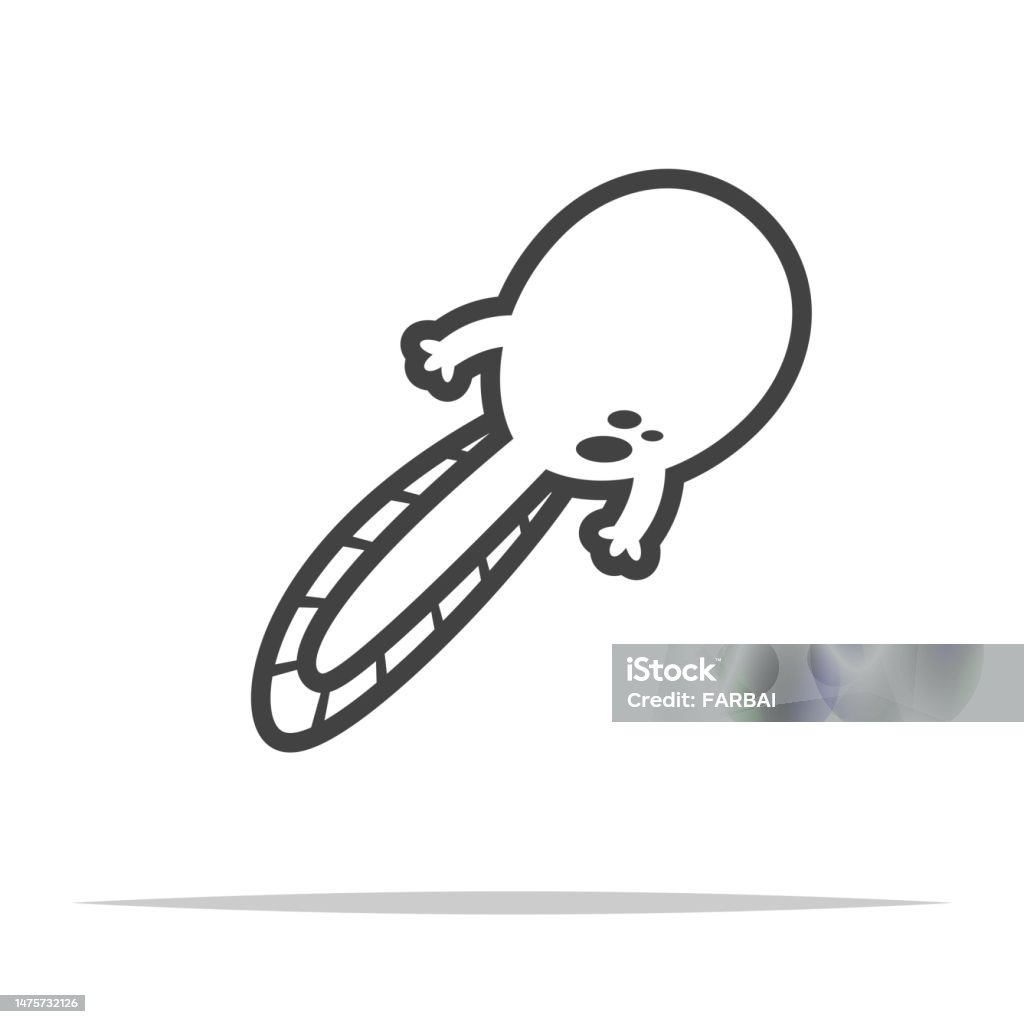 Tadpole Outline Tadpole Outline