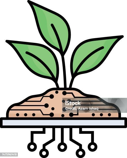 Test De Germination Des Semences Concept Vector Icon Design Symbole De