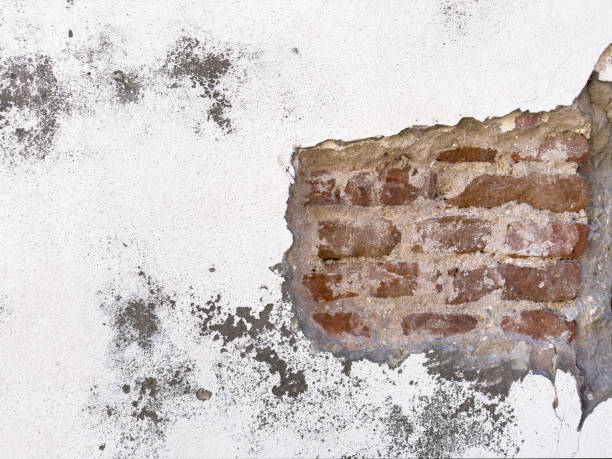 Free Stock Photo of Vintage poster on decrepit brick wall | Download ...